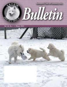 SCA Bulletin Winter 2022 Final part 1 - Samoyed Club of America